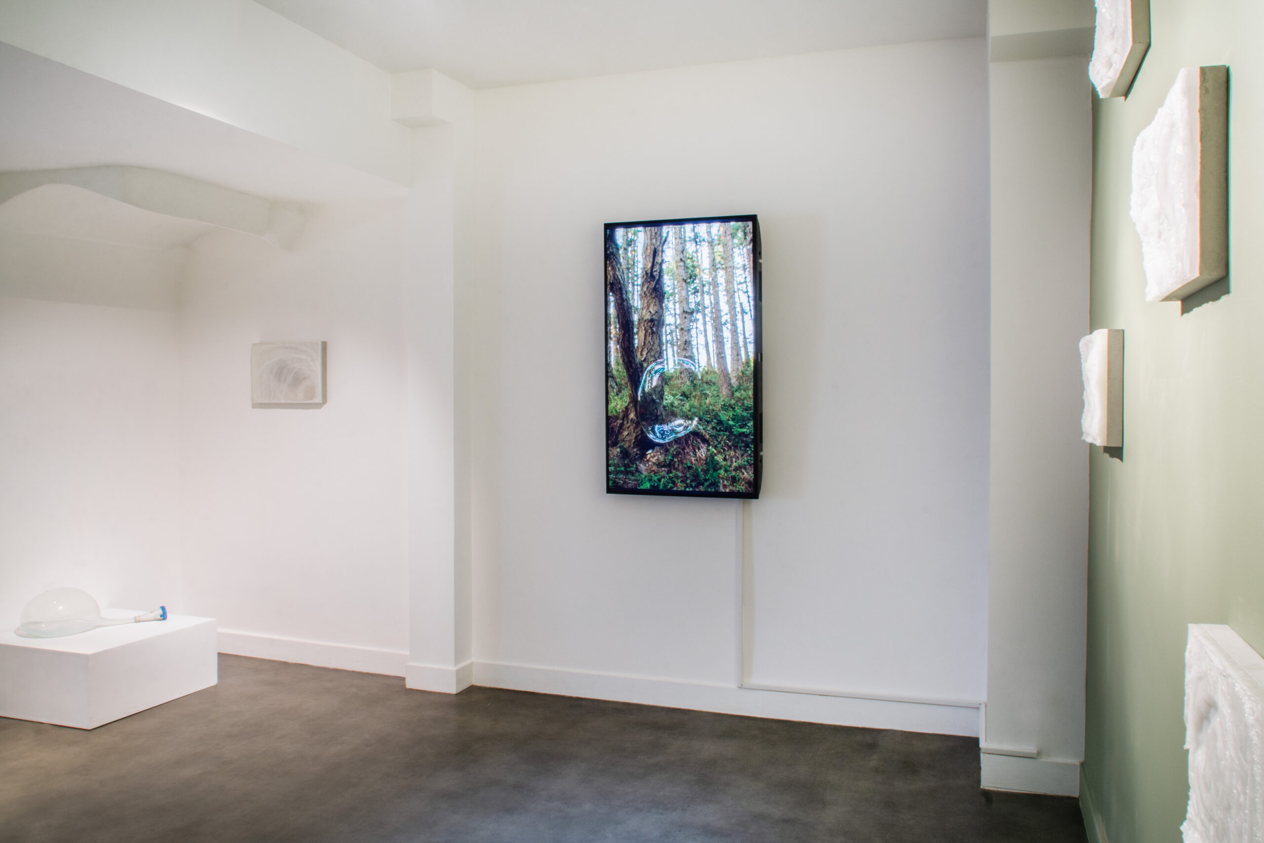 Midi du Documentaire – Invitée Lélia Martin-Lirot, responsable de ...